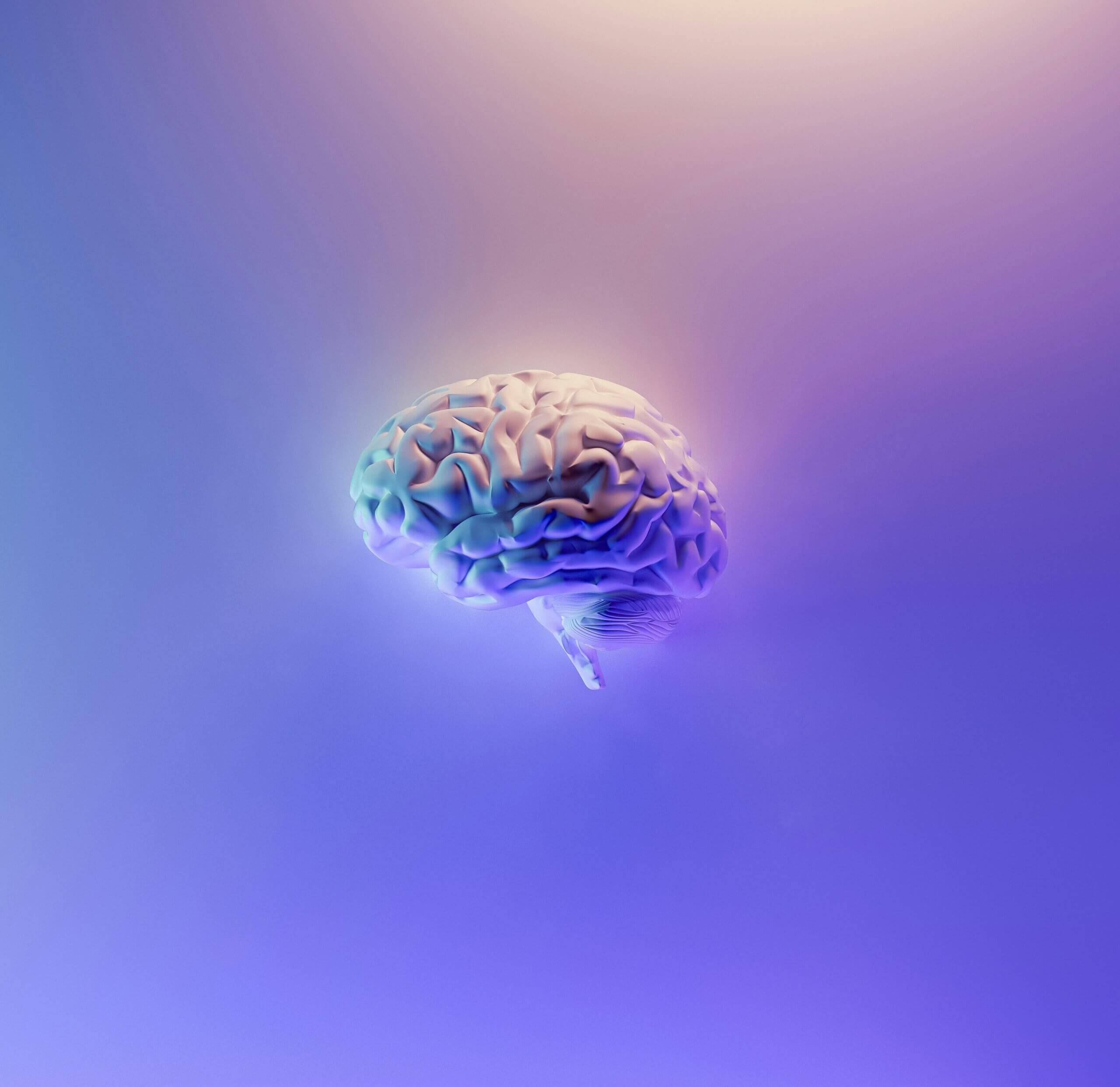 Ghostwriter Neurologie für Forschung und Praxis - ACAD WRITE